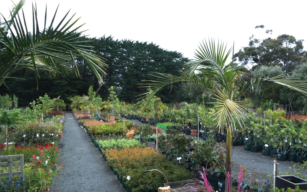 WA Plants | Lakeside Plants & Nursery
